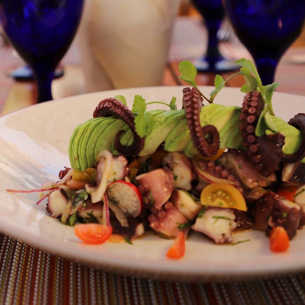 Top 5 Reasons Why The All-Inclusive Meal Plan Makes Vacations Better at ...